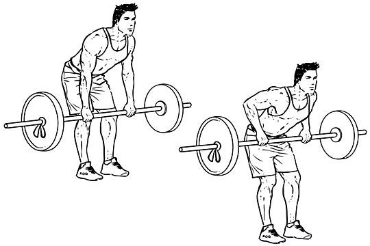 Scapular Retraction: Exercises, Benefits, & Proper Form