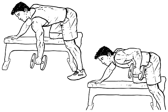 Scapular Retraction: Exercises, Benefits, & Proper Form